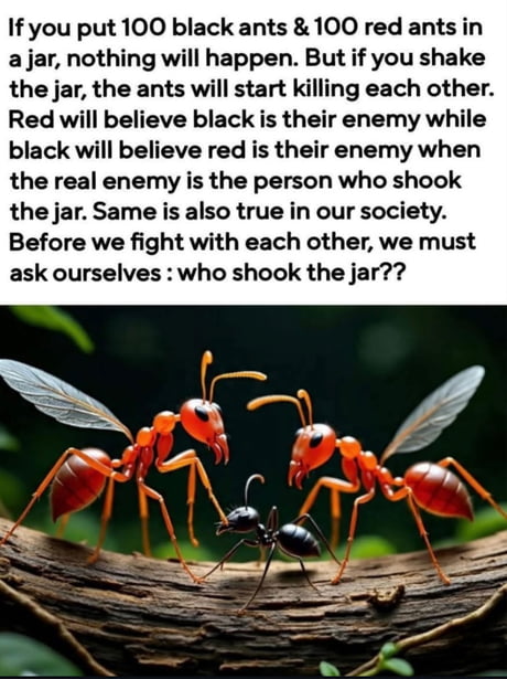 Best Funny ants Memes - 9GAG