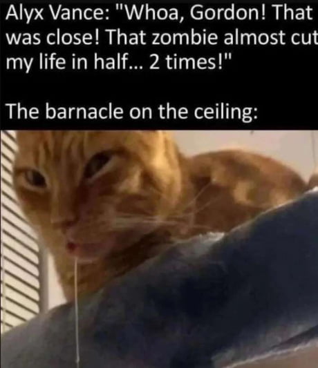 Best Funny half life Memes - 9GAG