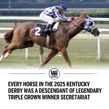 Best Funny horse racing Memes - 9GAG