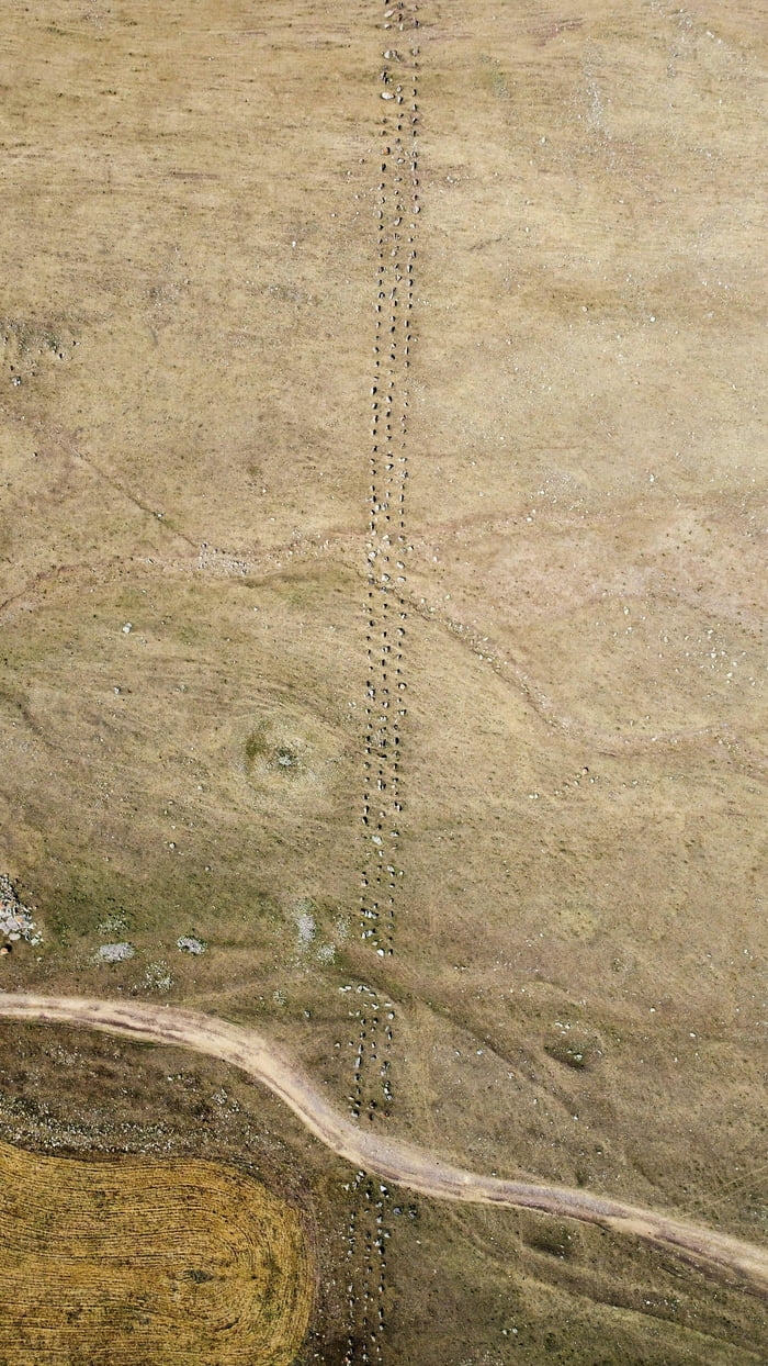 The Hartashen Megalithic Avenue, which consists of 3 rows of stones ...