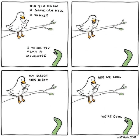 Best Funny goose Memes - 9GAG
