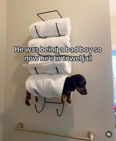 Funny Prison Memes