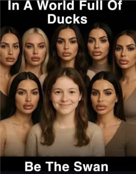 Best Funny swan Memes - 9GAG
