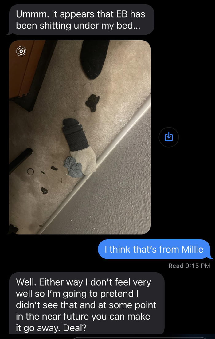 She won’t pick up the literal SHIT behind her bed. - 9GAG