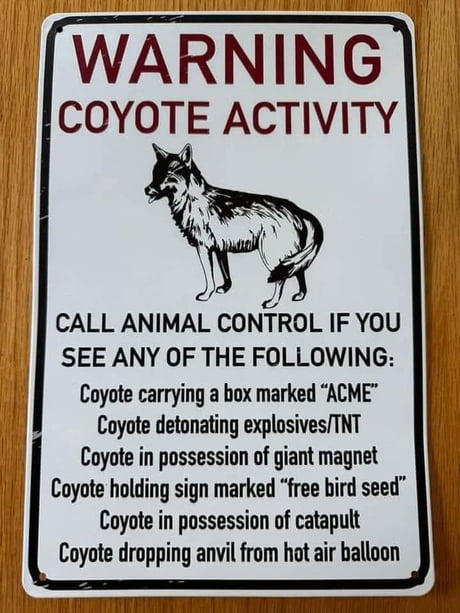 Best Funny coyote Memes - 9GAG