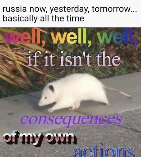 Best Funny storm shadow Memes - 9GAG