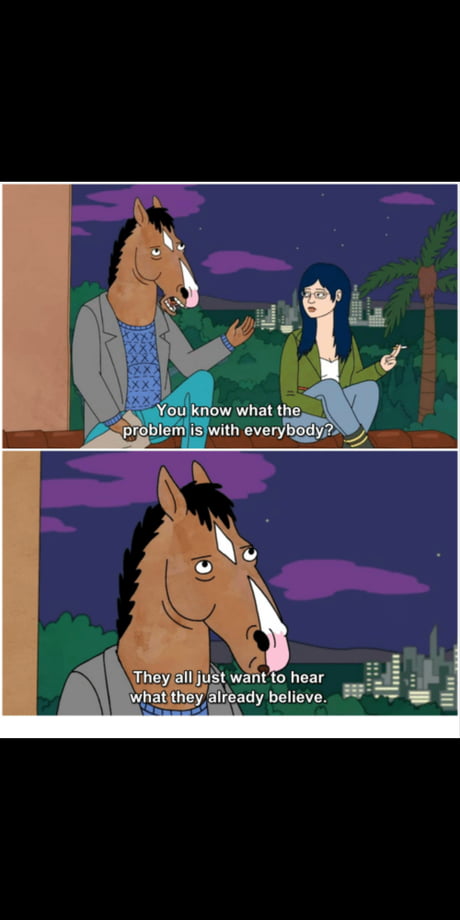 Best Funny bojack horseman Memes - 9GAG