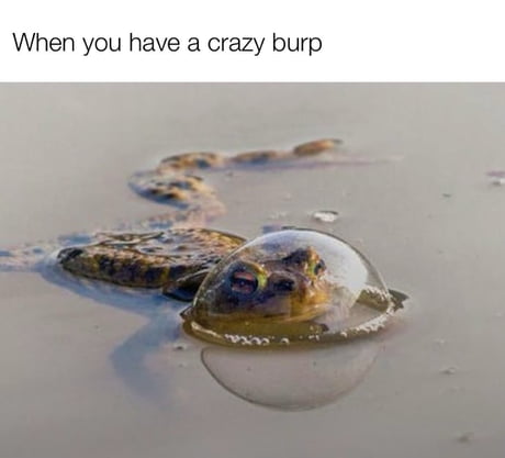 Best Funny burp Memes - 9GAG