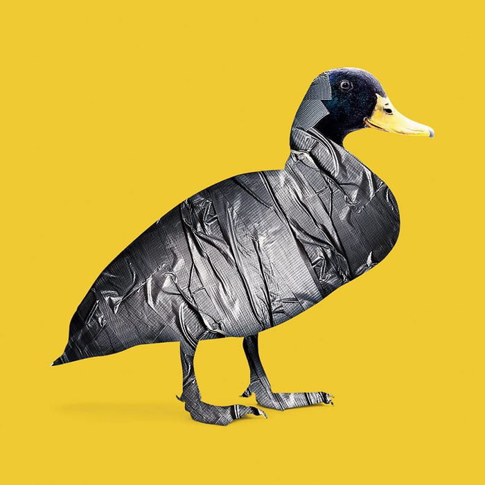 Artist Creates Strange Combinations That Unexpectedly Make A Lot Of ...