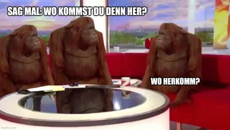Memes Egal Wie