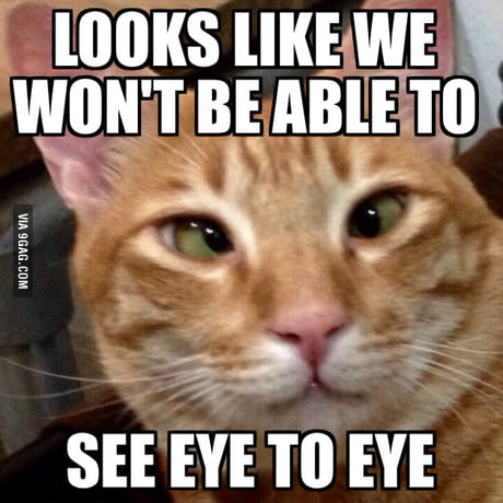 Bad Eyes Memes Amazon.com: Bad Puns Are How Eye Roll Dad Jokes Fathers