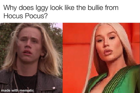 Iggy Fancy Meme