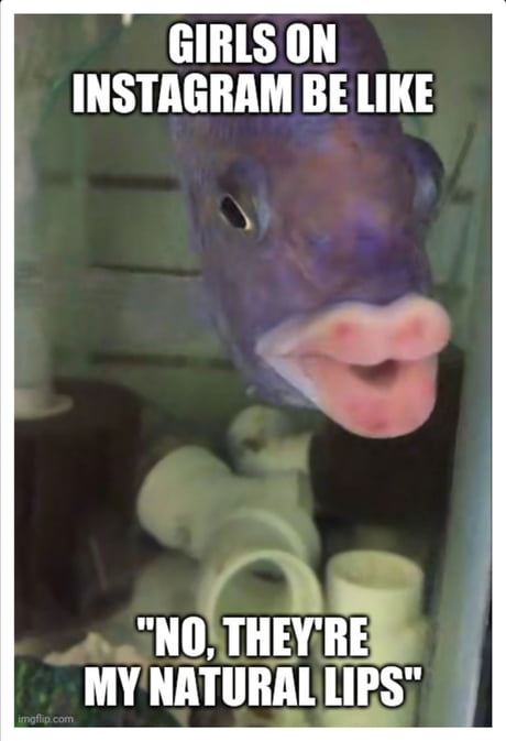 Fish With Lips Meme | Lipstutorial.org