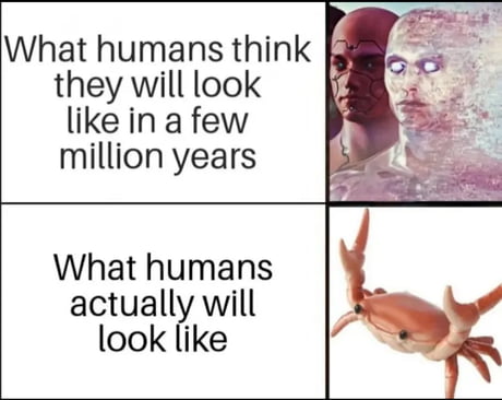 Best Funny crab Memes - 9GAG