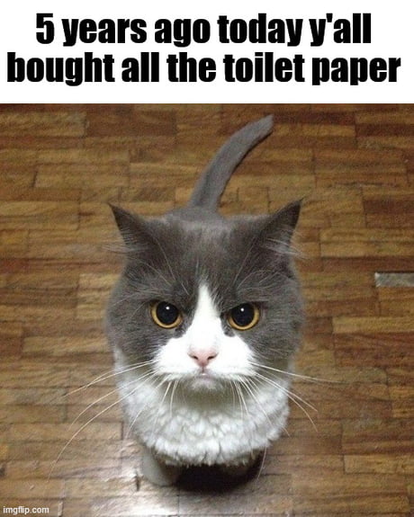 Toilet Paper Thief Memes