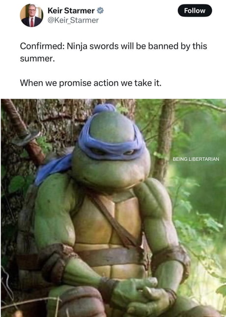 Jpp Ninja Turtle Memes YO MAMA: Raphael's Legendary Moment In TMNT