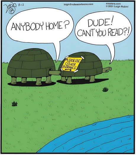 Best Funny tortoise Memes - 9GAG