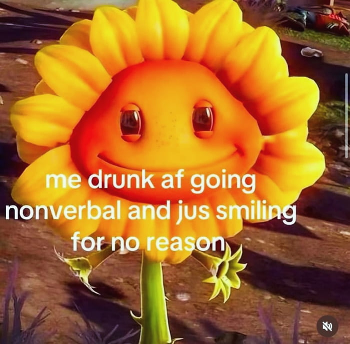 When your inner sunflower blooms after a few drinks - 9GAG