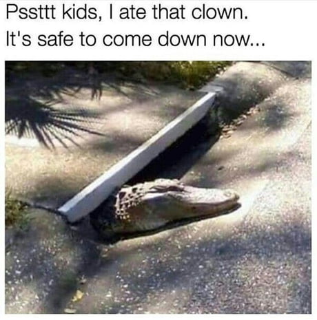 Best Funny crocodile Memes - 9GAG