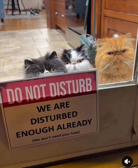 Best Funny disturbed Memes - 9GAG