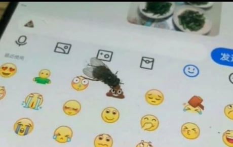 Best Funny fly Memes - 9GAG