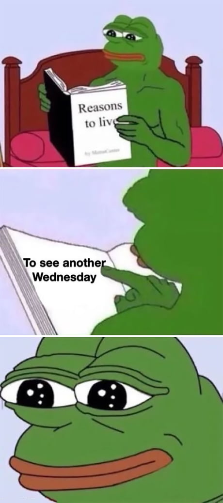 Best Funny pepe Memes - 9GAG