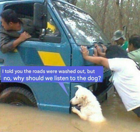 Best Funny flooding Memes - 9GAG