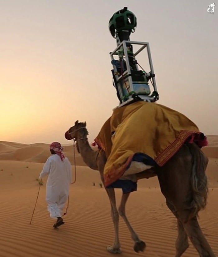 Google hires camel for desert street view on Google Maps - 9GAG