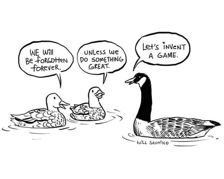 Best Funny duck Memes - 9GAG