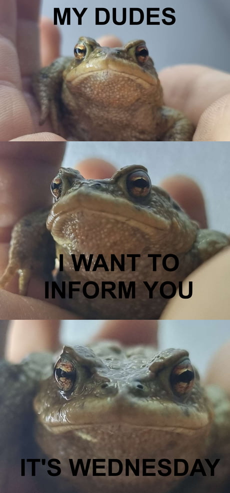 Best Funny mittwoch Memes - 9GAG