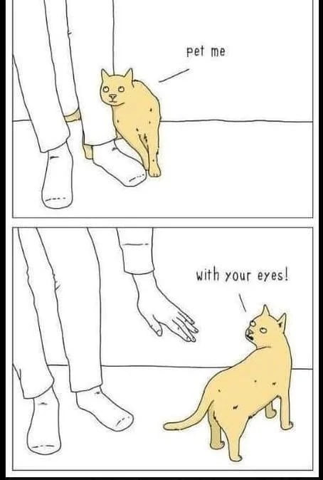 Pet me - 9GAG
