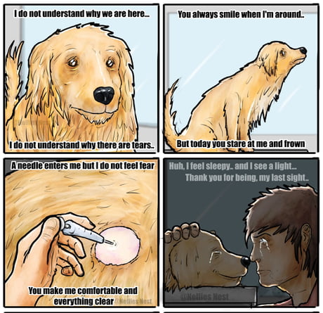 Best Funny tears Memes - 9GAG