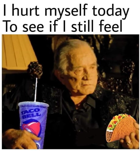 Funny Taco Memes