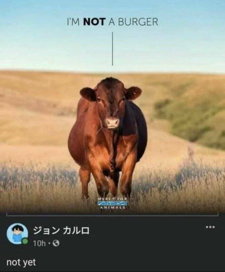 Best Funny burger Memes - 9GAG