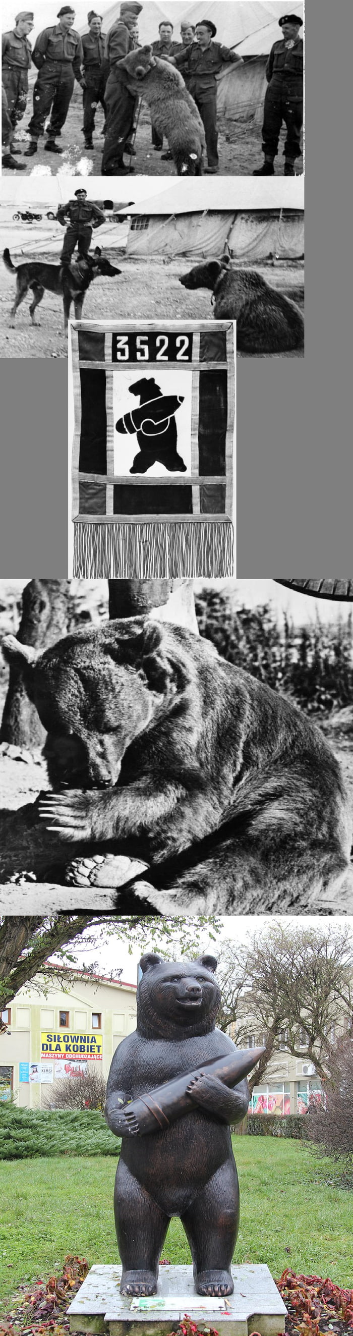Don't be like this animal in Magdeburg. Be like Wojtek. Wojtek was a ...
