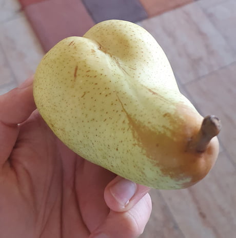 Best Funny pear Memes - 9GAG