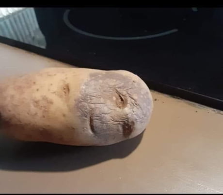 Best Funny potato Memes - 9GAG