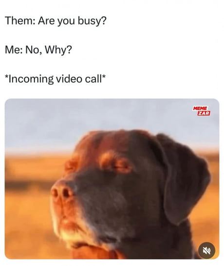 Answer Skype Memes