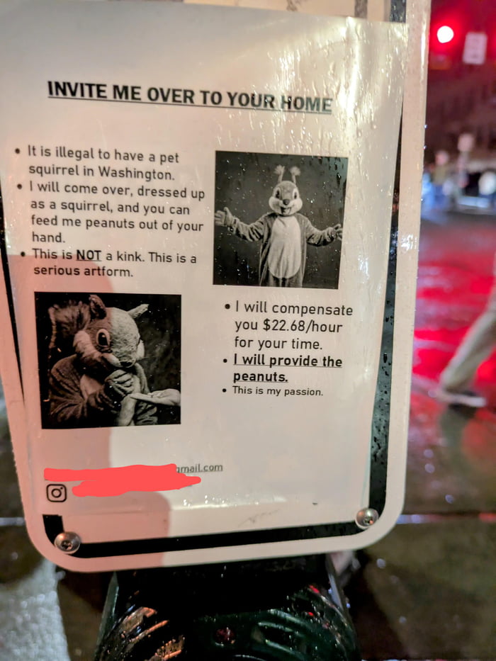 Weird In-Home Squirrel Service Flyer, spotted on crosswalk button near ...