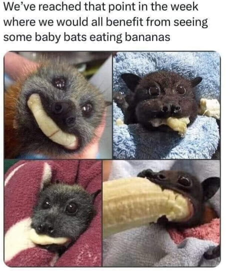 Best Funny banana Memes - 9GAG