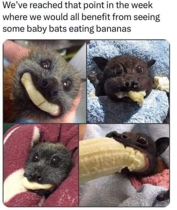 The banana bat. - 9GAG
