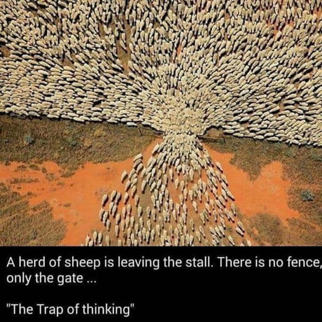 Best Funny trap Memes - 9GAG