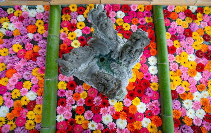 Shrines In Japan Are Arranging Floating Flower In Their Water Basins - 9GAG