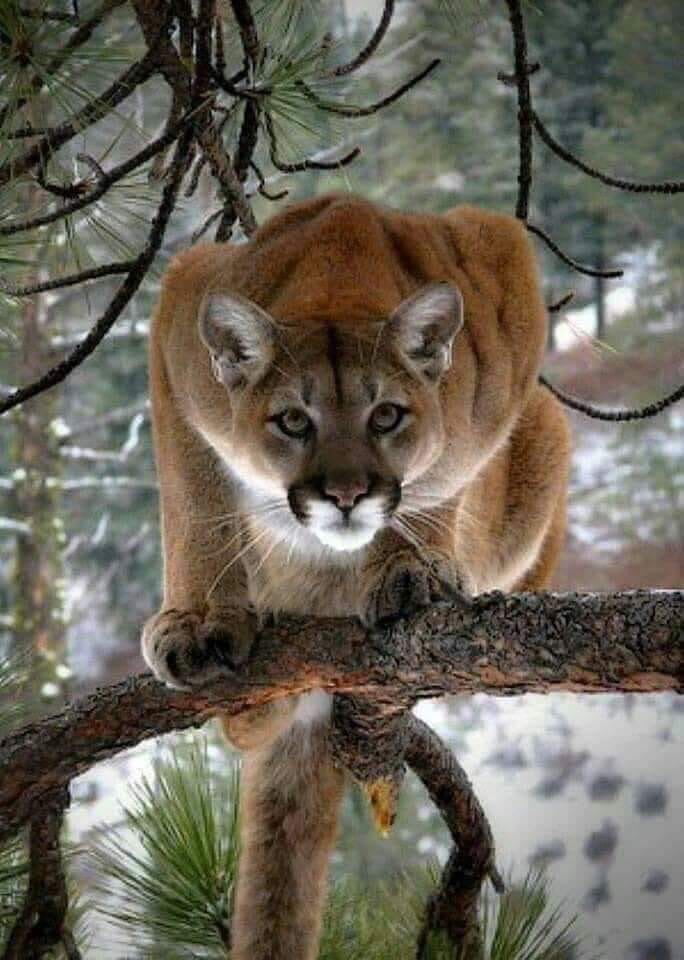 Absolutely stunning. - 9GAG