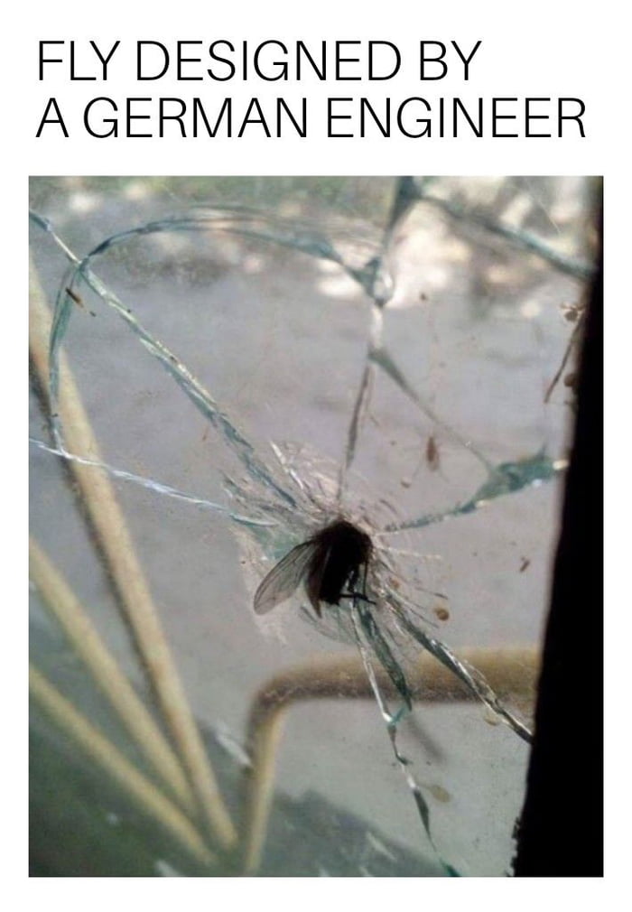 Let a GERMAN do it and it will be great, but it needs time - 9GAG