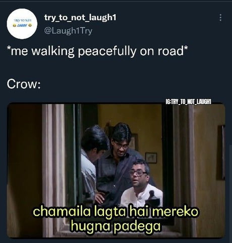 Chutia Sala Memes