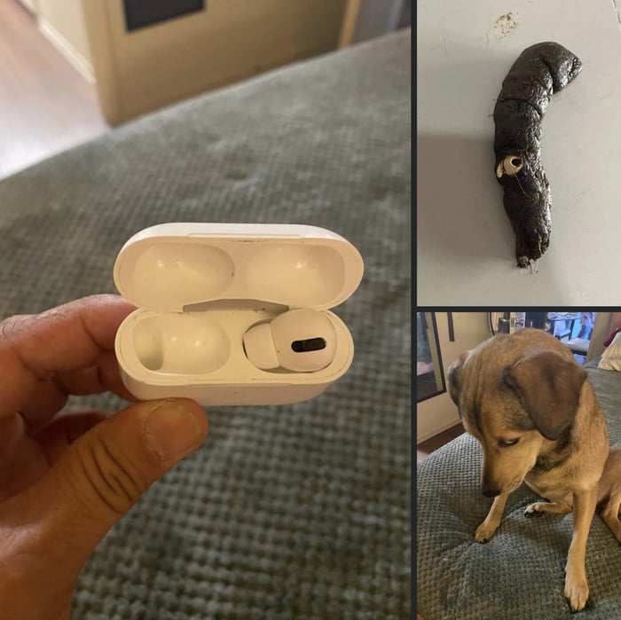 His dog ate his AirPod - 9GAG