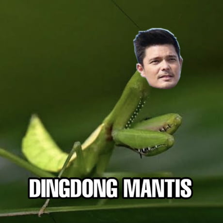 Best Funny dingdong dantes Memes - 9GAG
