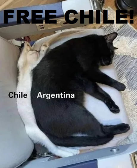 Funny Chile 🇨🇱 Memes - 9GAG