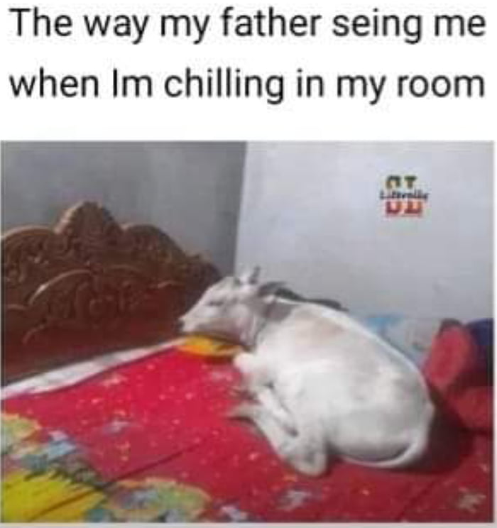 Chill daddy, chill - 9GAG